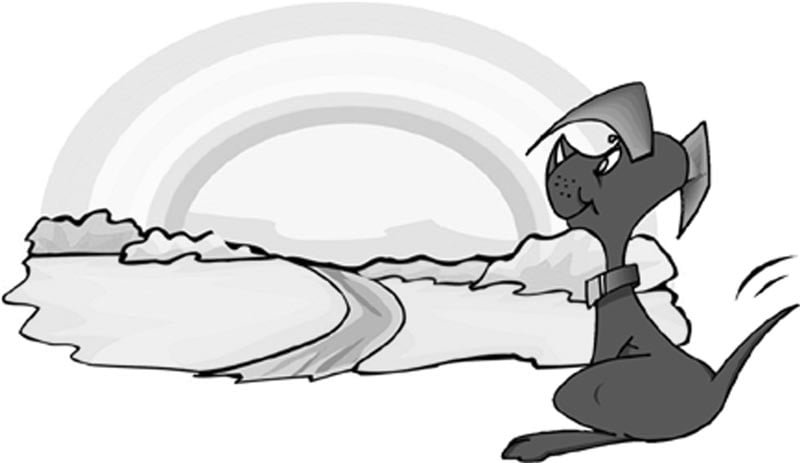 Duck Duck Duffus - Sawan Books